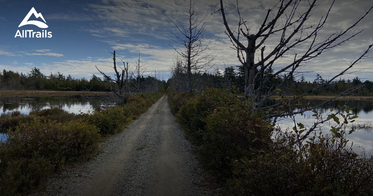 Best hikes and trails in Sable River | AllTrails