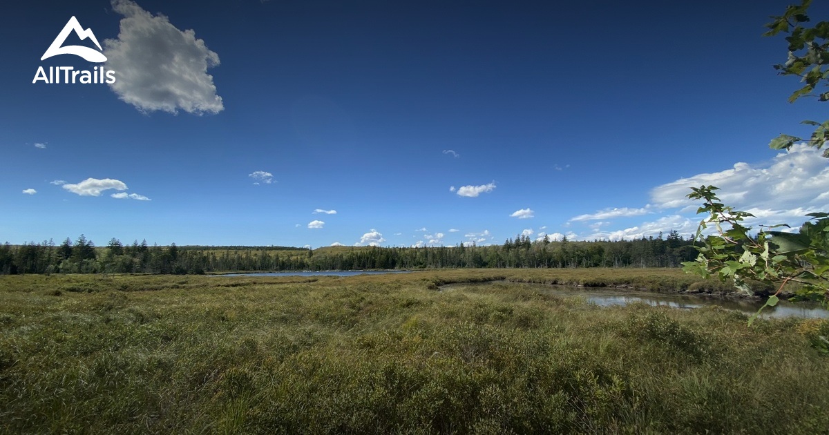 Best hikes and trails in Salt Springs | AllTrails