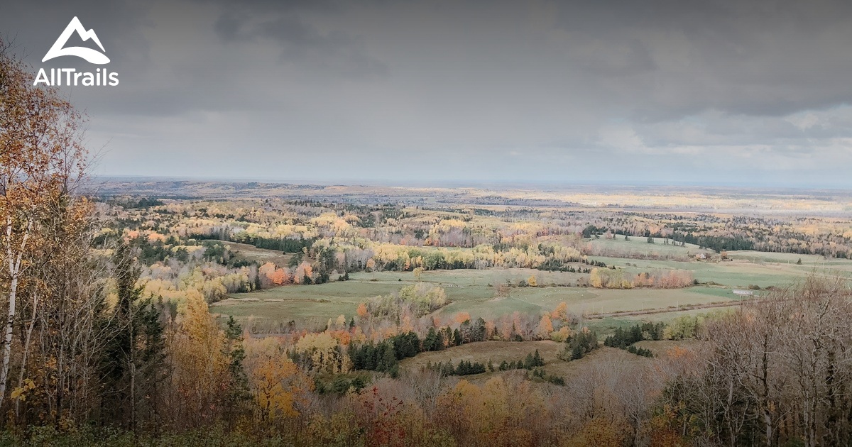 Best hikes and trails in Scotsburn | AllTrails