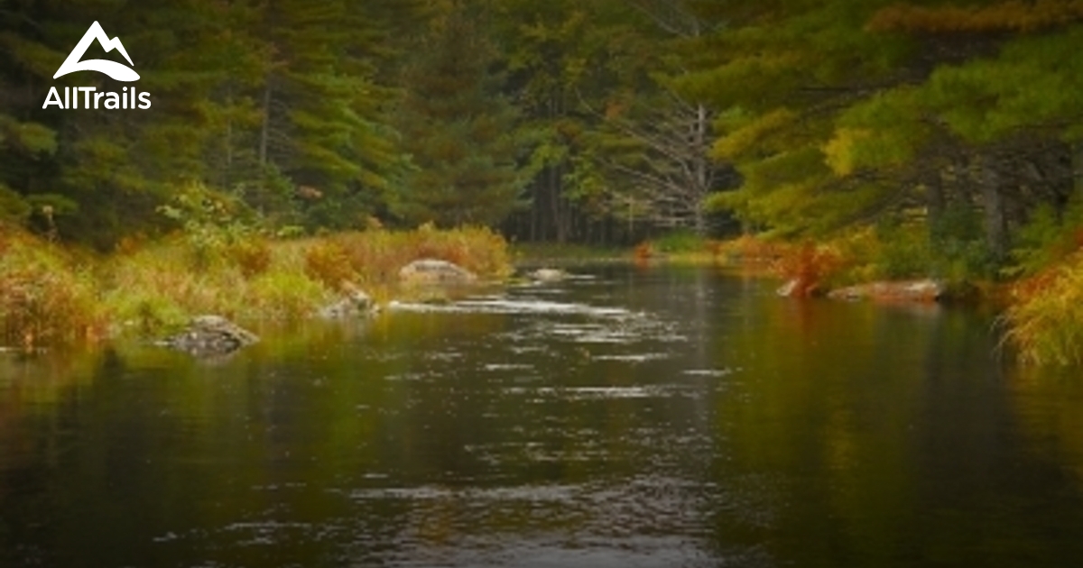 Best hikes and trails in South Brookfield | AllTrails