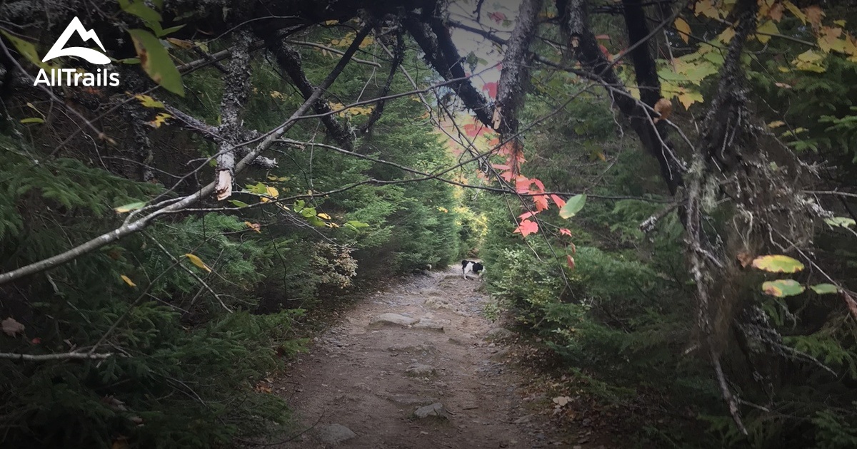 Best hikes and trails in Still Water Lake | AllTrails