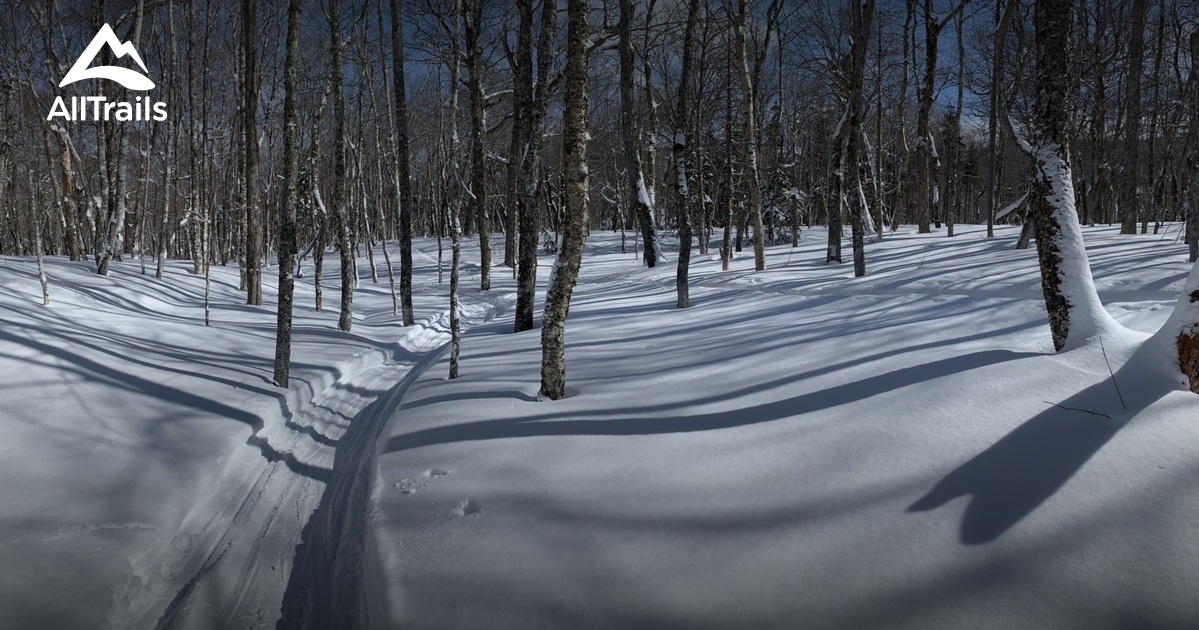 Best hikes and trails in Sunrise | AllTrails