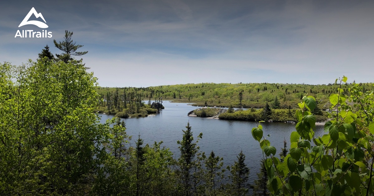 10 Best trails and hikes in Timberlea | AllTrails