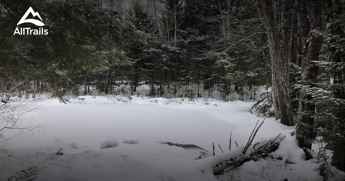 Best hikes and trails in Wallace | AllTrails