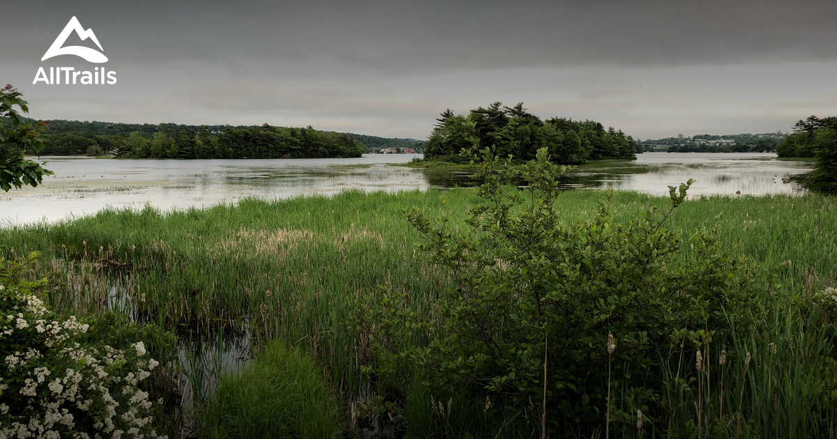 10 Best trails and hikes in Waverley | AllTrails