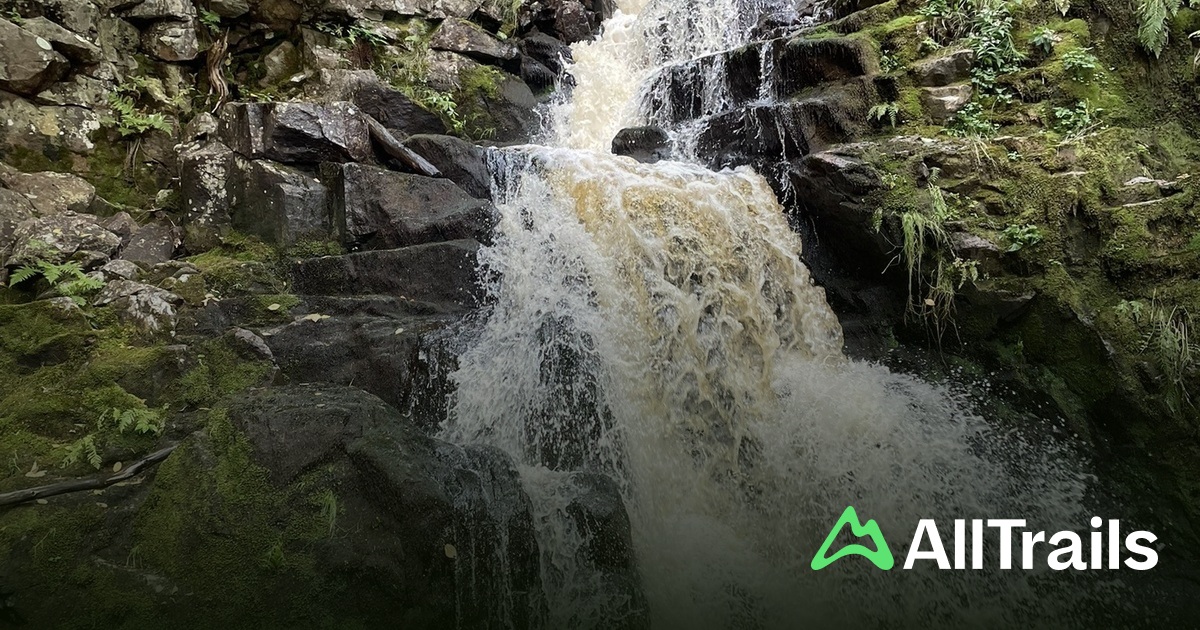 Bästa vandringarna och lederna i West Inglisville | AllTrails