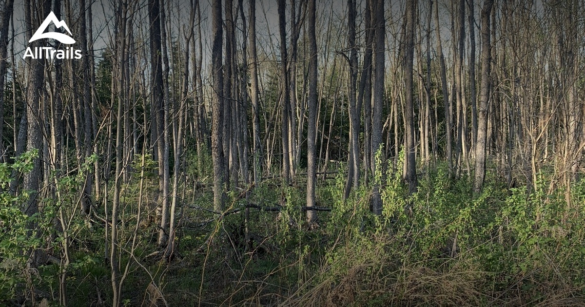 Best hikes and trails in Azilda | AllTrails