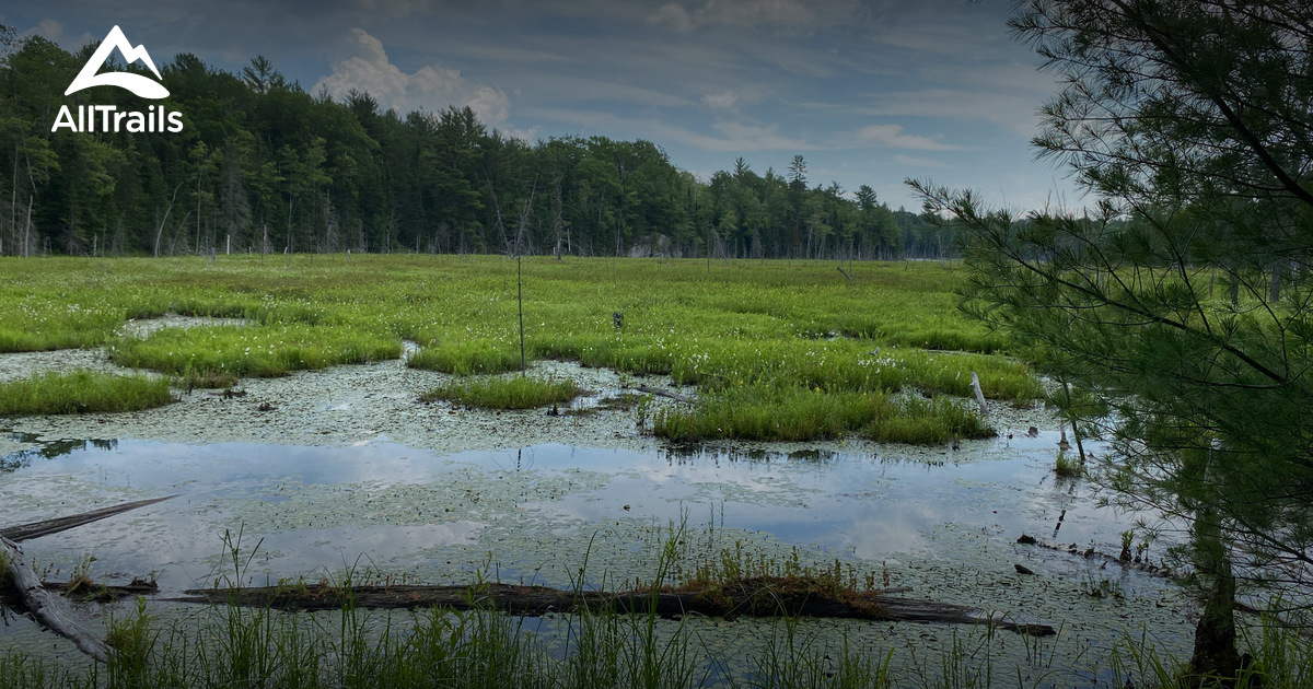 Best hikes and trails in Bala | AllTrails