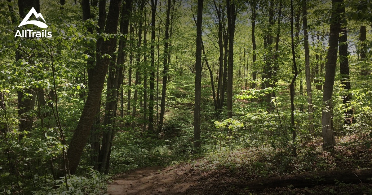 Best walking trails in Bluewater | AllTrails