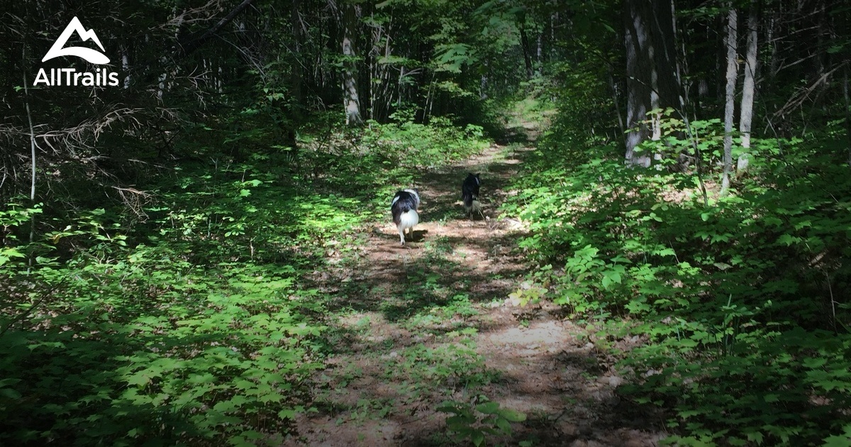 10 Best trails and hikes in Calabogie | AllTrails