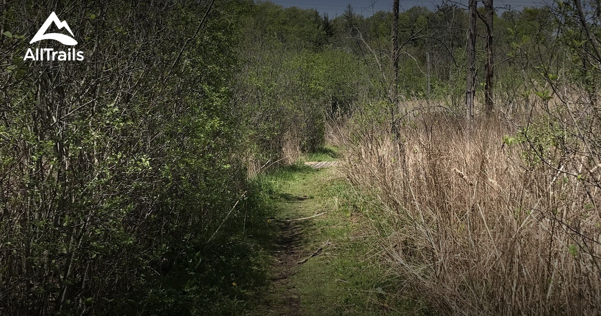 Best Trails near Cambridge, Ontario Canada | AllTrails