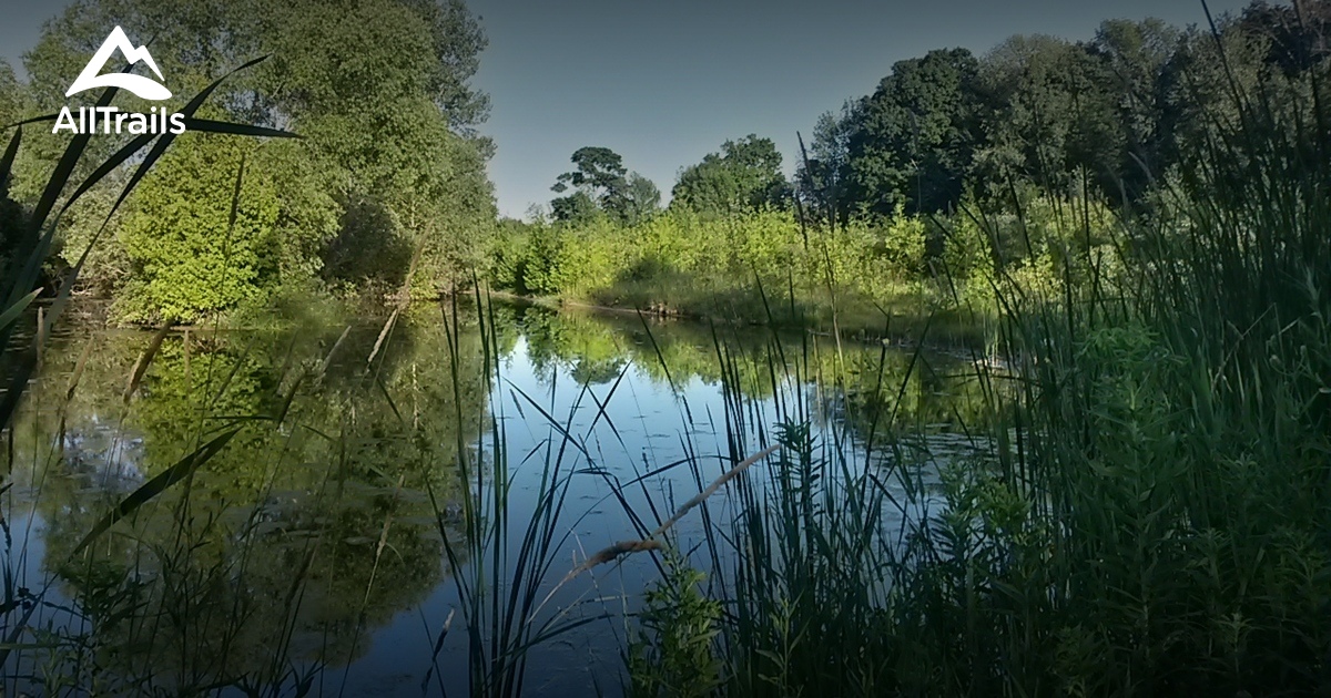 Best forest trails in Central Huron | AllTrails