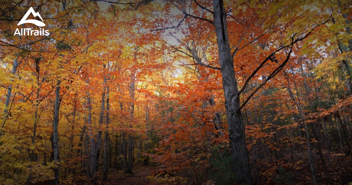 10 Best easy trails in Clarington | AllTrails