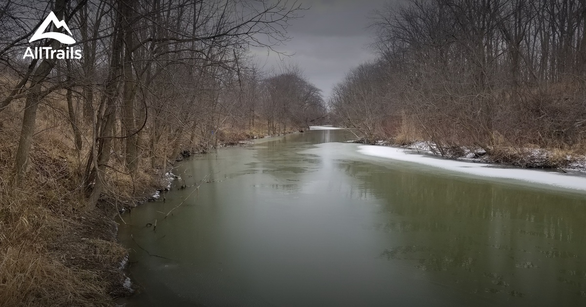 Best hikes and trails in Comber | AllTrails