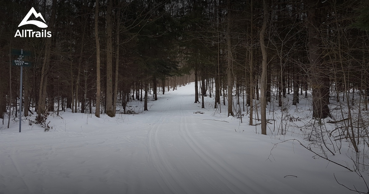 10 Best forest trails in Cornwall | AllTrails