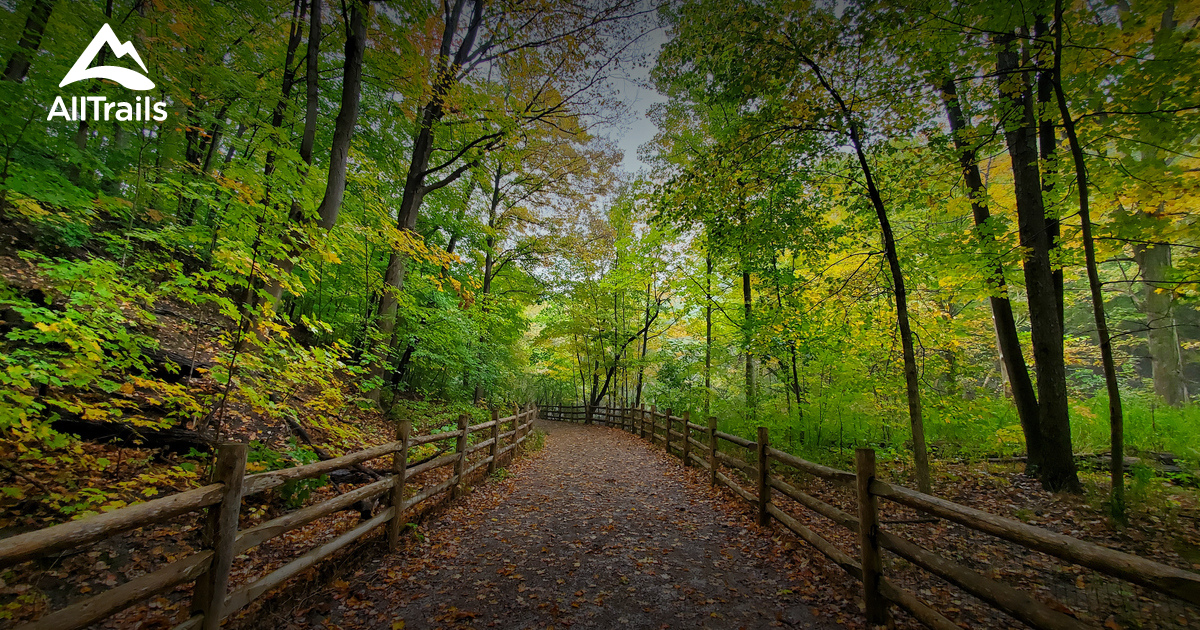 Best city walk trails in East York | AllTrails