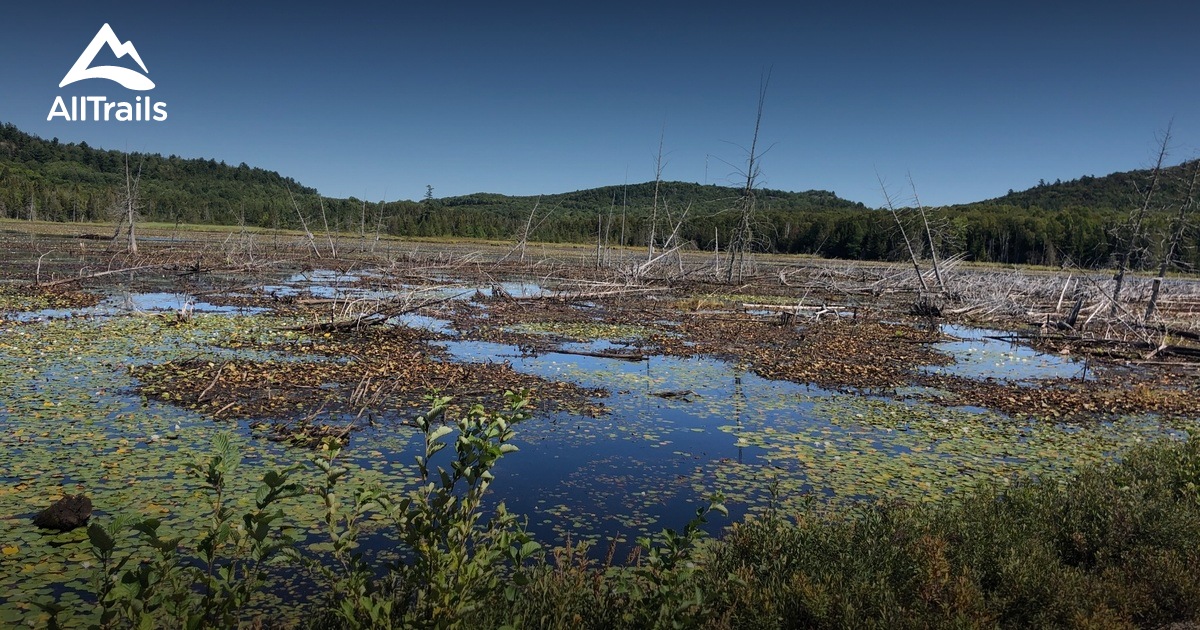 10 Best forest trails in Elliot Lake | AllTrails