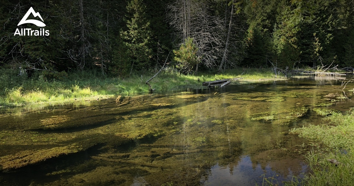 Best hikes and trails in Feversham | AllTrails