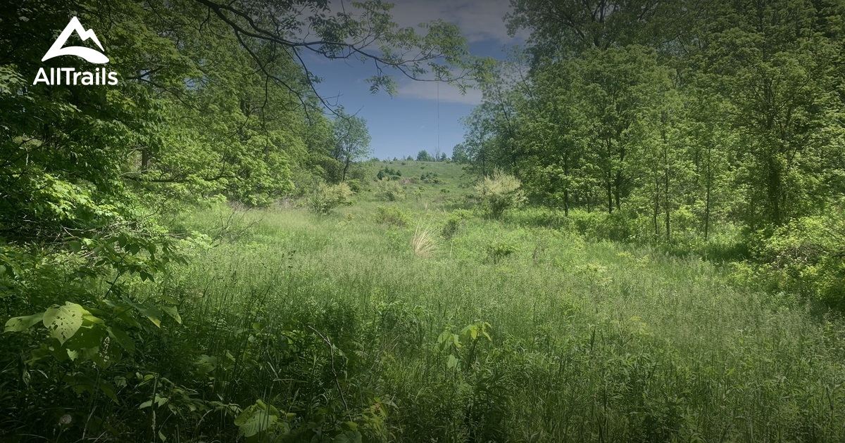 Best hikes and trails in Fonthill | AllTrails