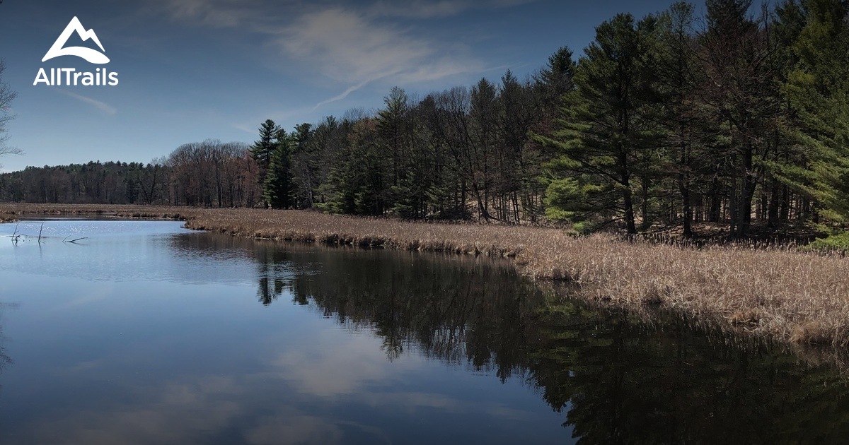 Best hikes and trails in Front of Yonge | AllTrails