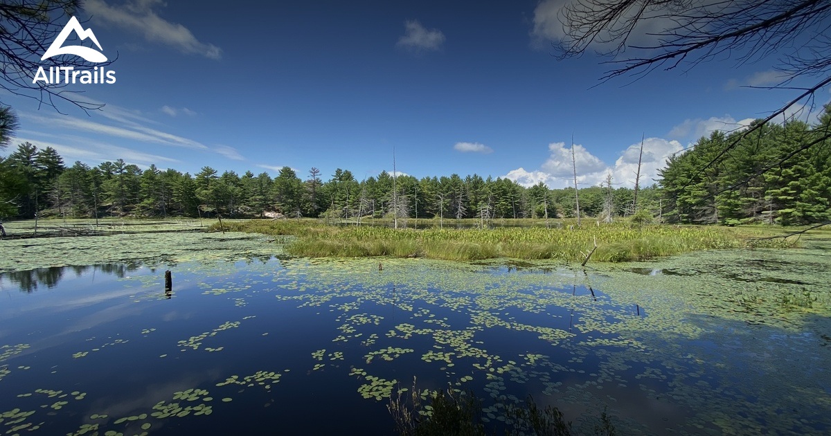 Best Partially Paved Trails in Georgian Bay | AllTrails