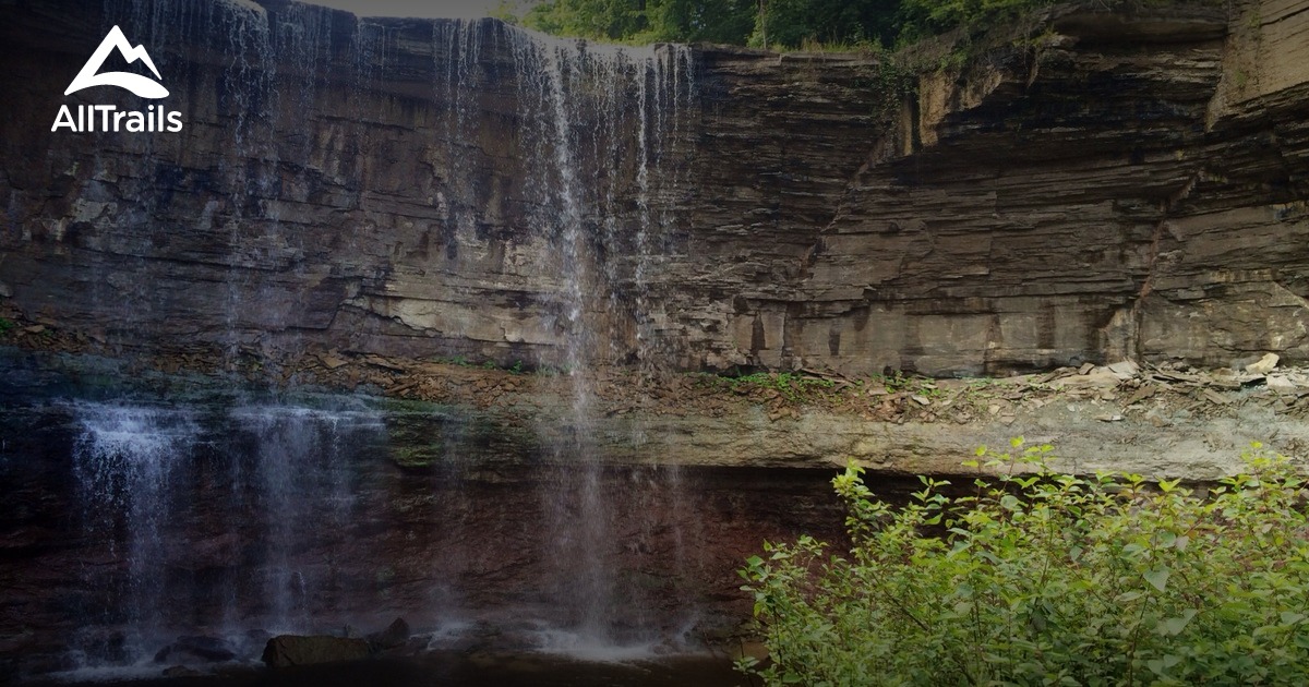Best Trails near Georgian Bluffs, Ontario, Canada | AllTrails