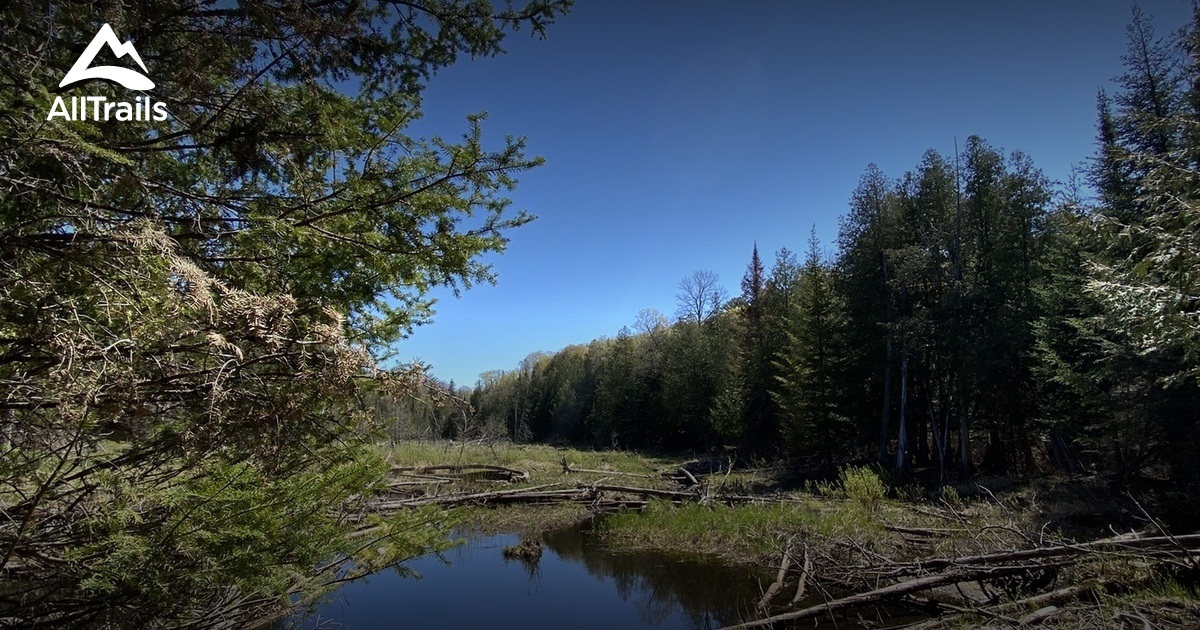 Best hikes and trails in Haliburton | AllTrails
