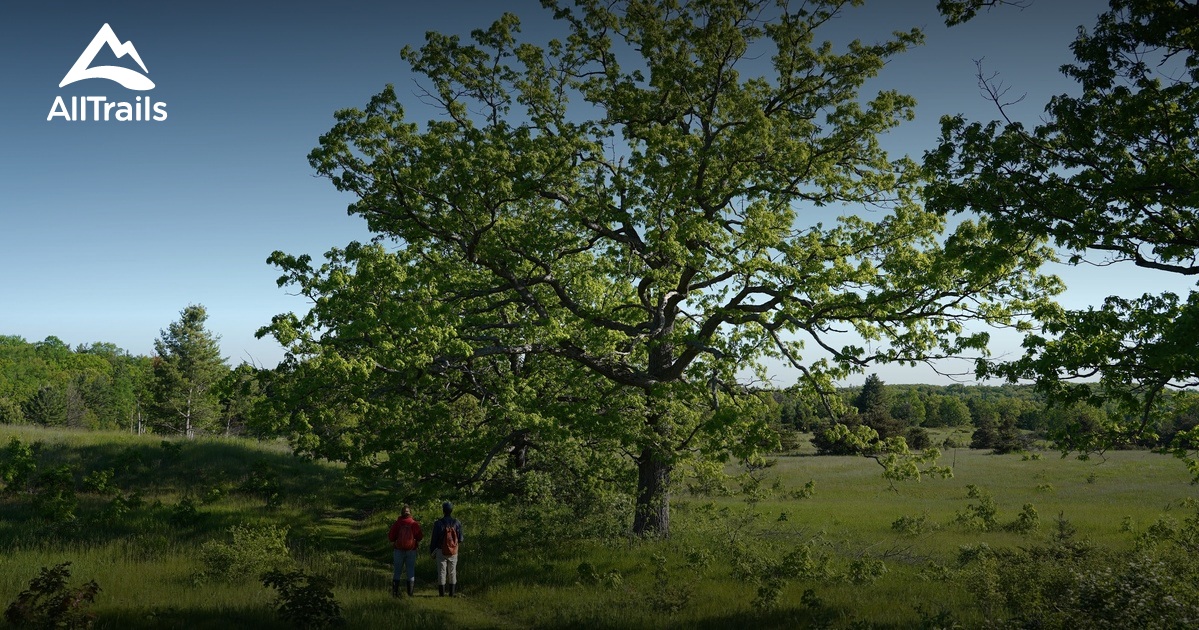 Best forest trails in Hamilton Twp | AllTrails