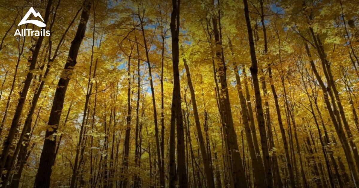 Best hikes and trails in Juniper Island | AllTrails