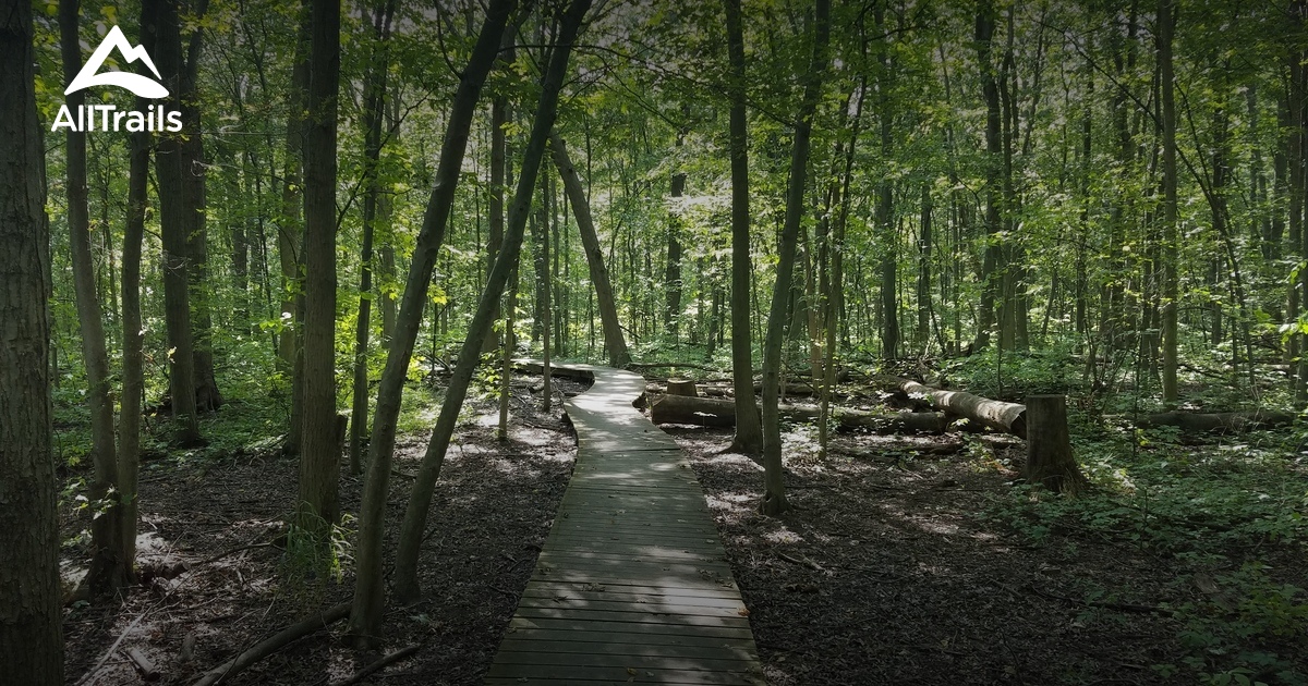 Best easy trails in Lakeshore | AllTrails