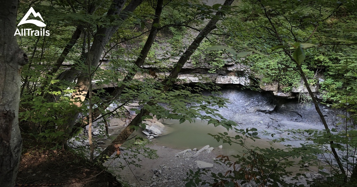 10 Best trails and hikes in Lambton Shores | AllTrails