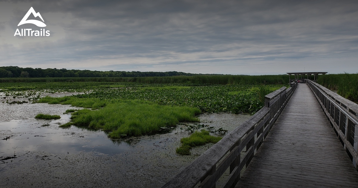 10 Best trails and hikes in Leamington | AllTrails