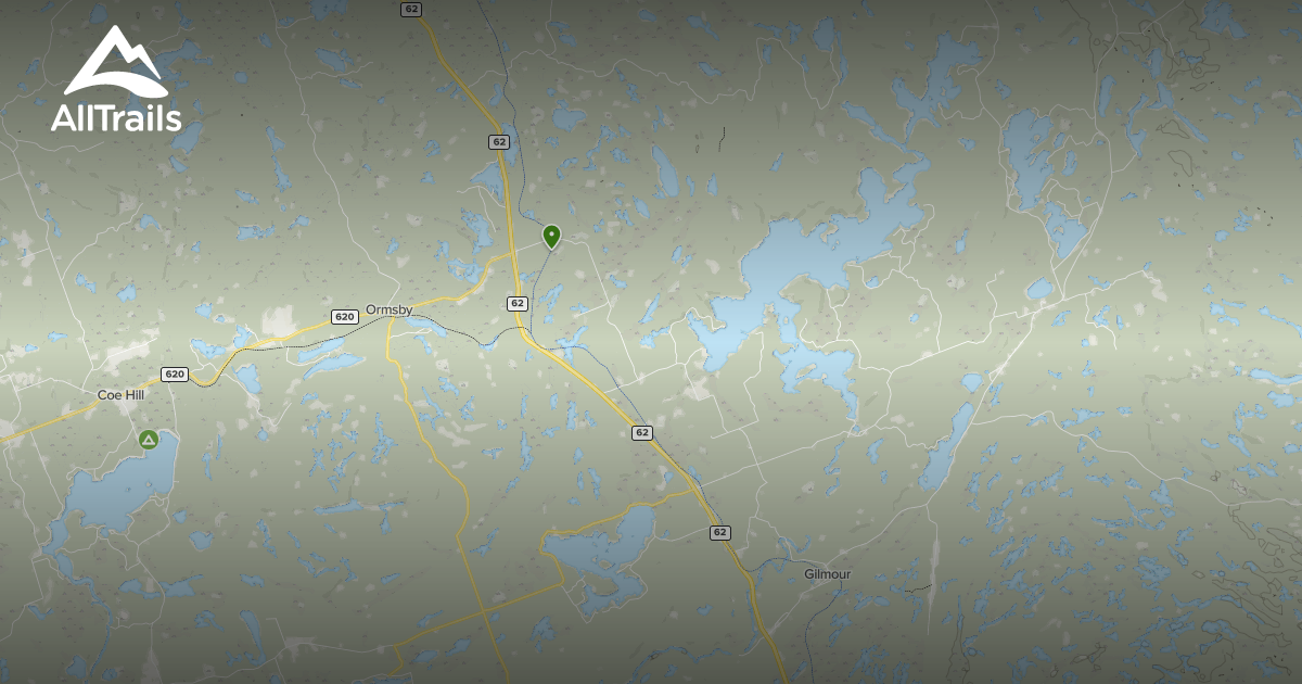 Best forest trails in Limerick | AllTrails