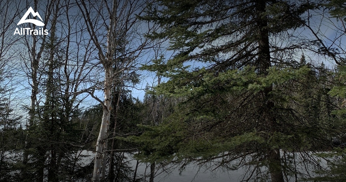 Best forest trails in Manitouwadge | AllTrails