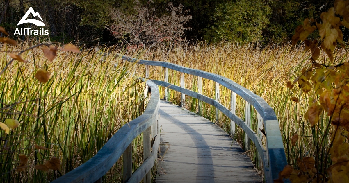Best walking trails in Markham, Ontario | AllTrails