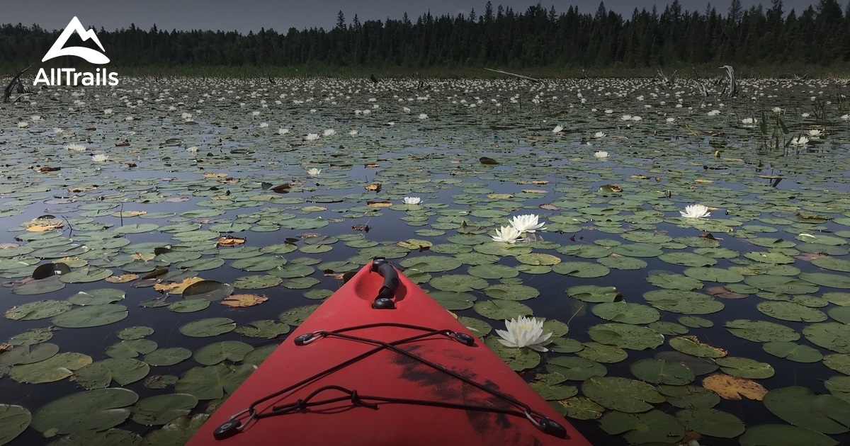 Best hikes and trails in Marten River | AllTrails