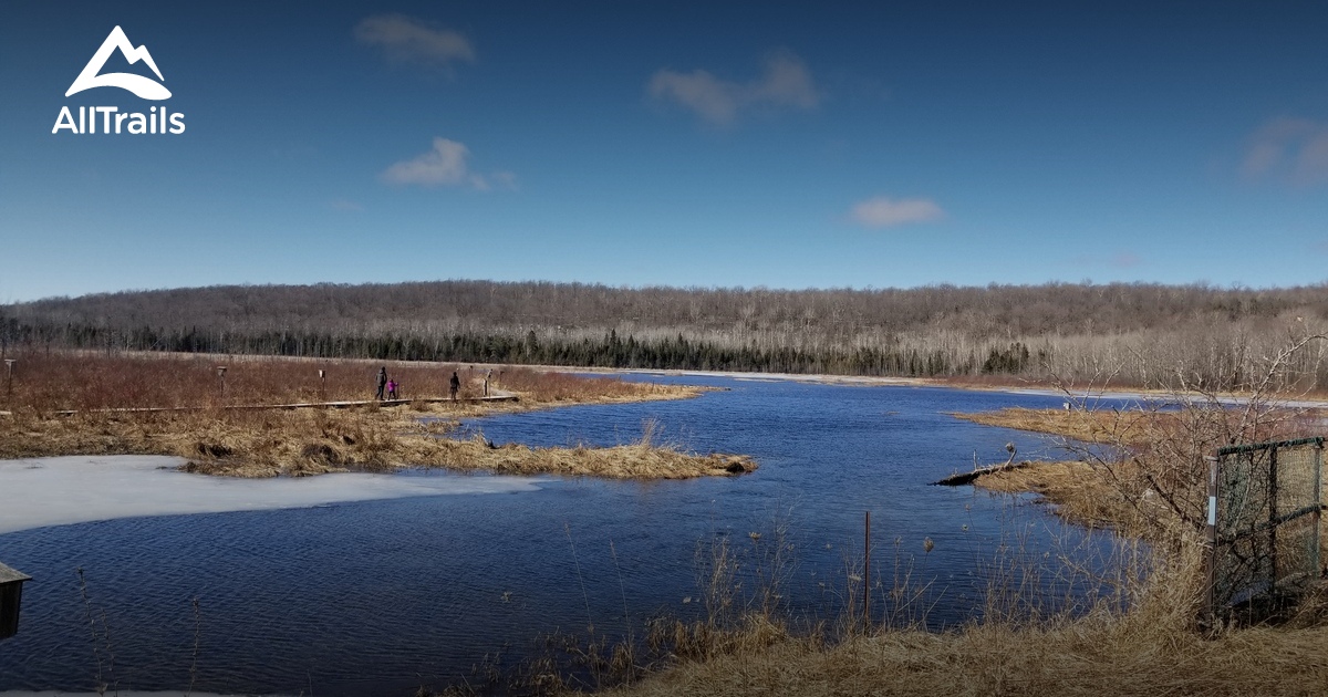 10 Best trails and hikes in Meaford | AllTrails