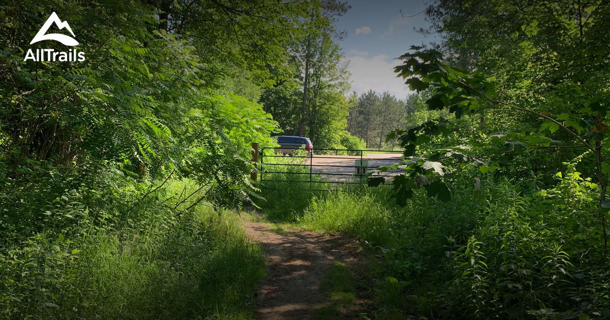 Best city walk trails in Midhurst | AllTrails