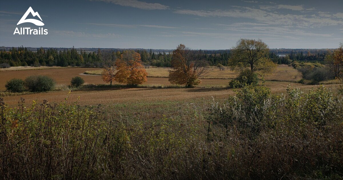 Best hikes and trails in Mississaugas Of Scugog Island | AllTrails