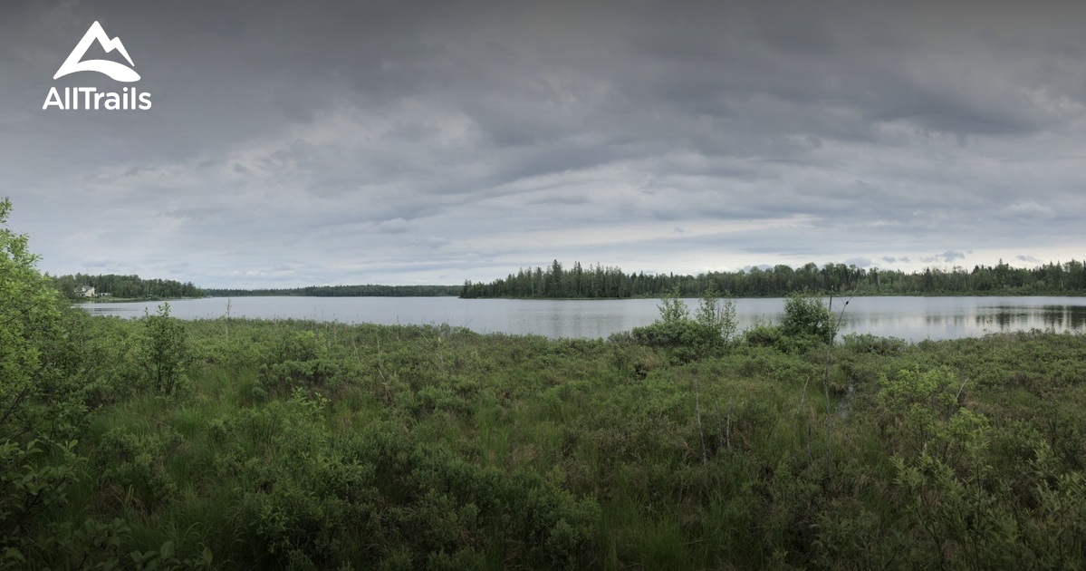Best forest trails in Moonbeam | AllTrails