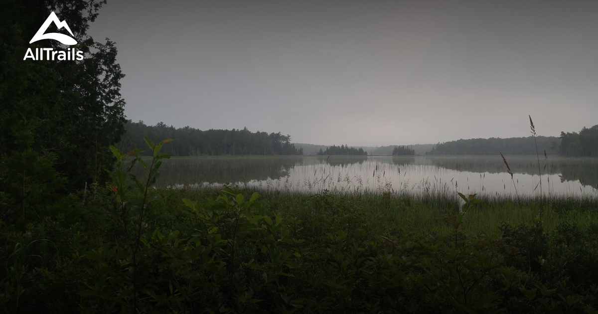 Best wildflower trails in Nipissing First Nation | AllTrails