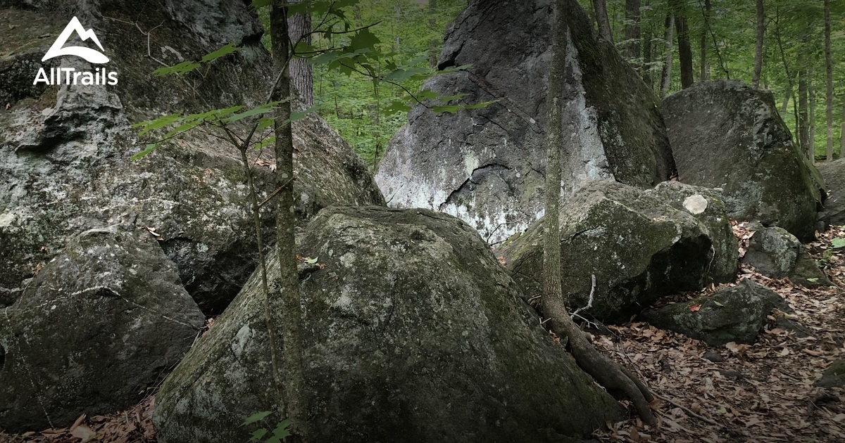 Best wildflower trails in North Algona Wilberforce | AllTrails