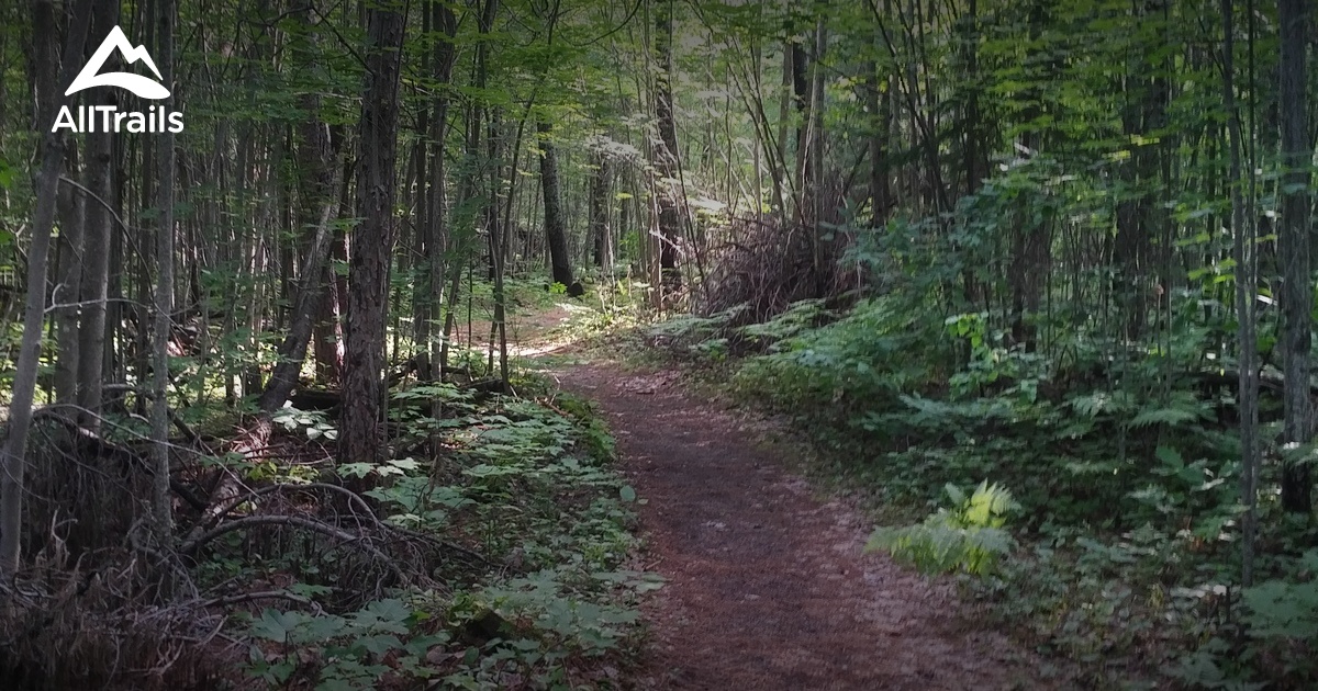 Best hikes and trails in Petawawa | AllTrails