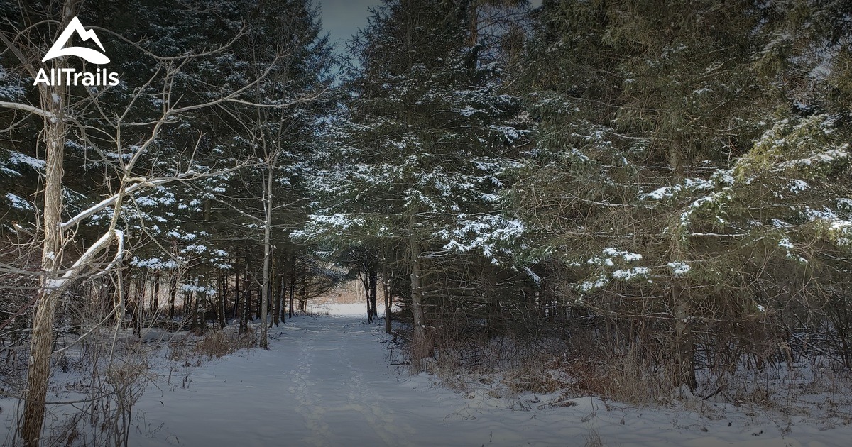 Best hikes and trails in Petrolia | AllTrails