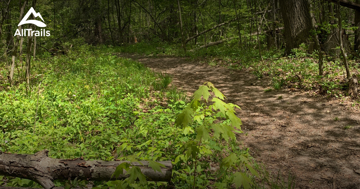 Best hikes and trails in Port Franks | AllTrails