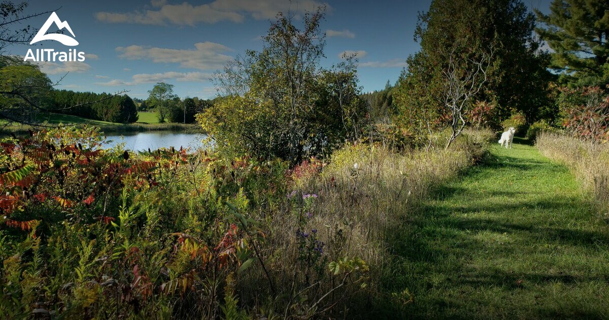 10 Best trails and hikes in Port Hope | AllTrails