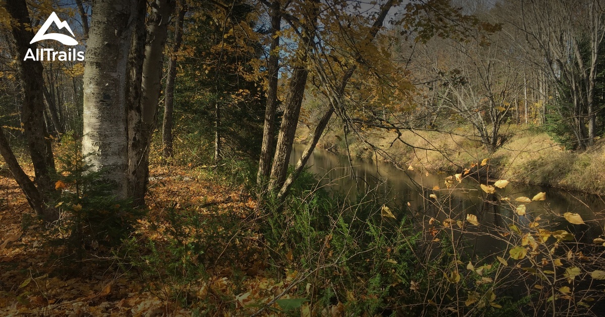 Best Trails, Walks, and Paths in Ramara | AllTrails