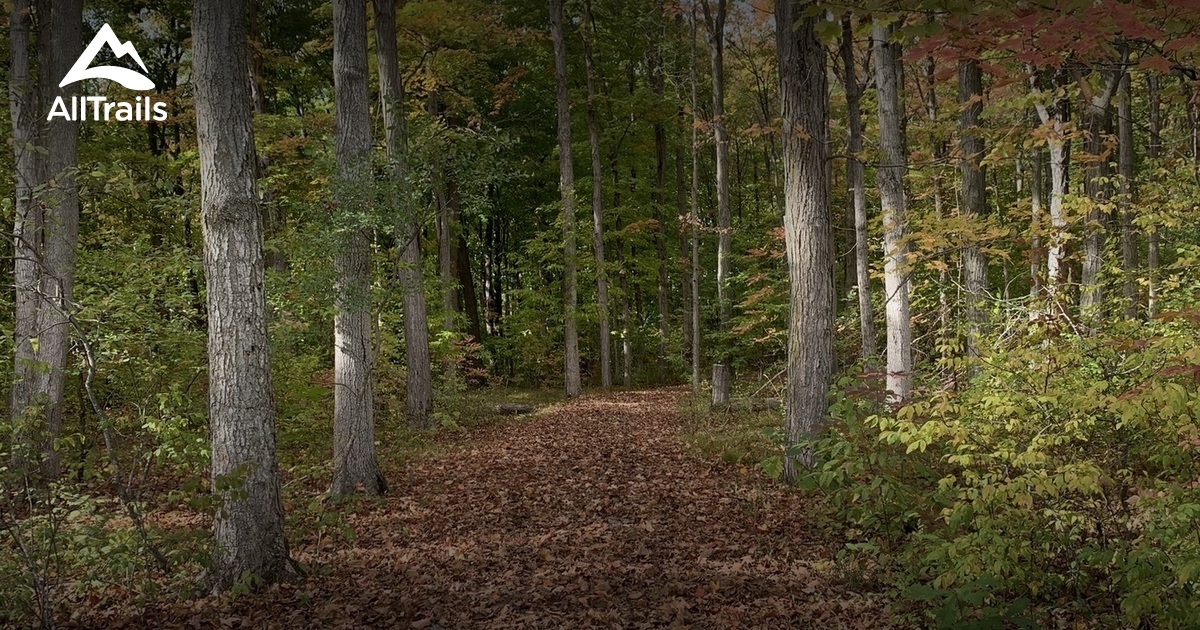 Best hikes and trails in Rockton | AllTrails