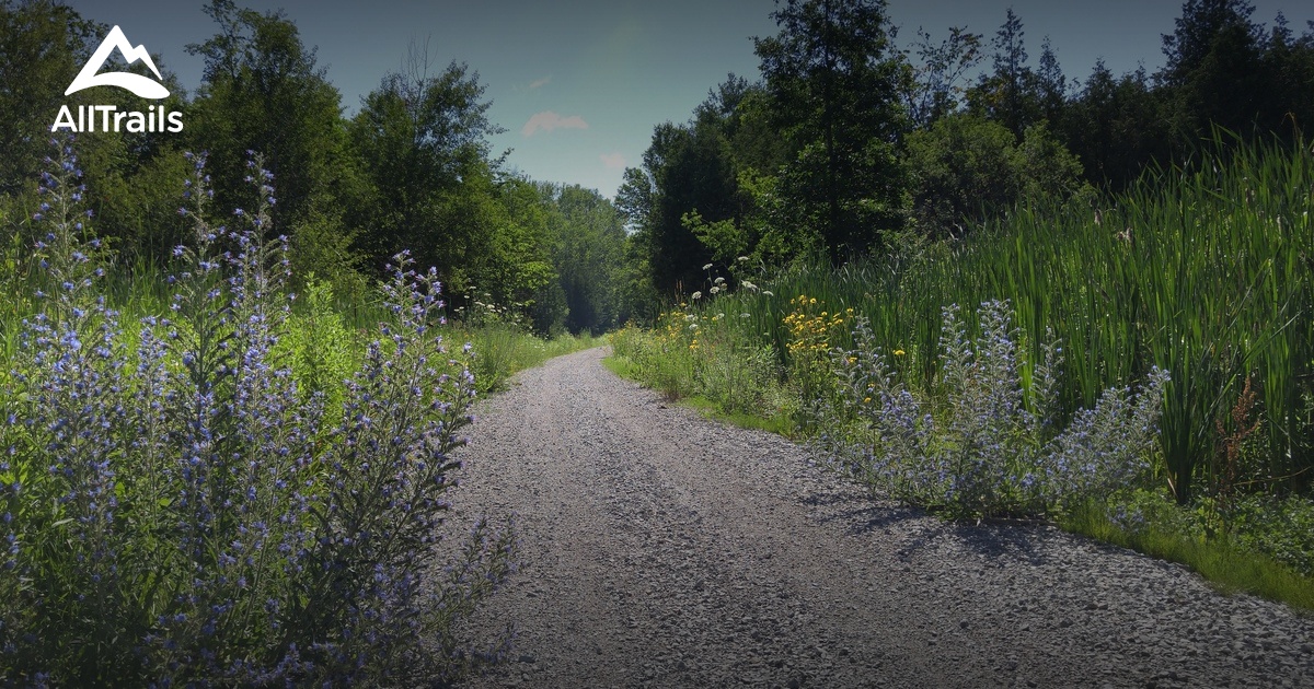 10 Best trails and hikes in Severn | AllTrails