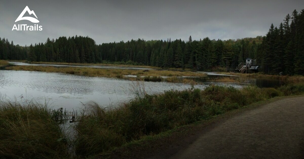 Best wildflower trails in South Algonquin | AllTrails